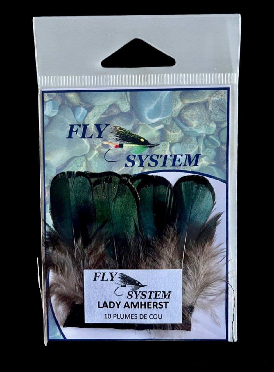 Plumes de cou de faisan lady Amherst Super Select FLY SYSTEM - Madflyfishing
